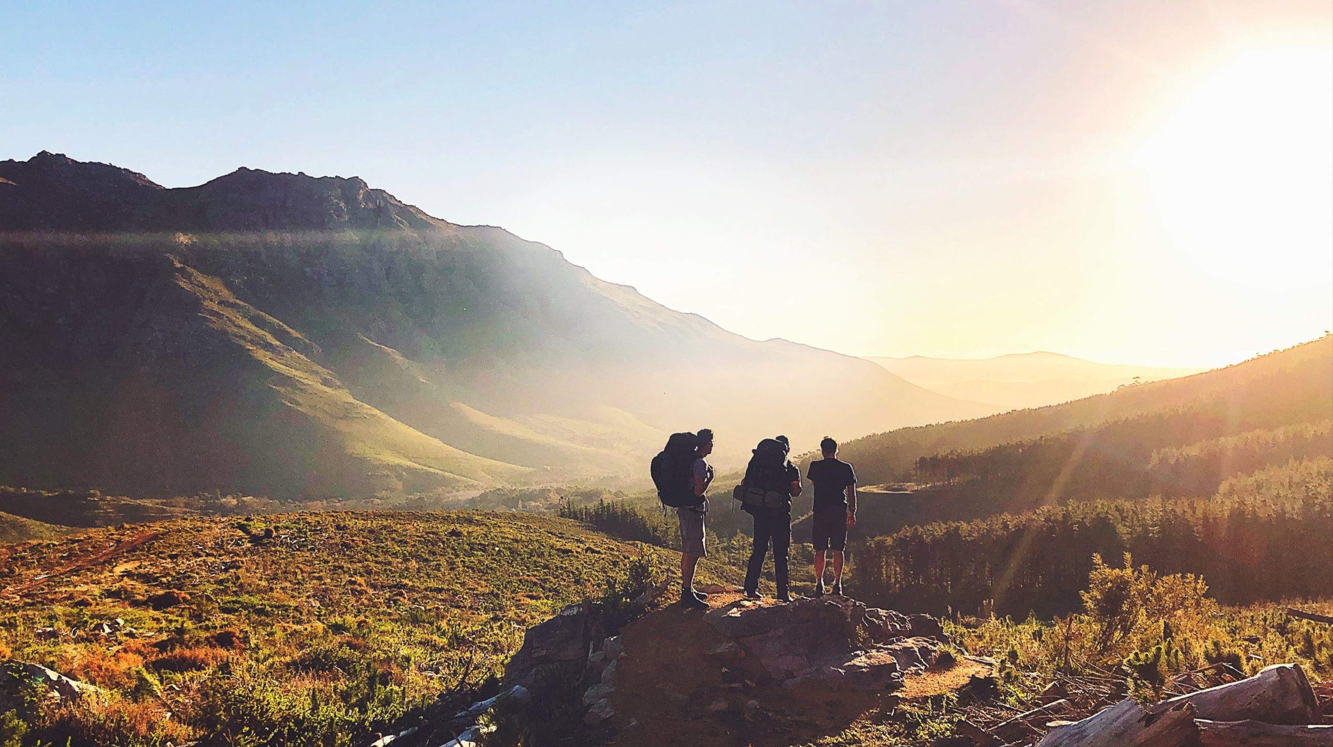 z old Men's – Great Outdoor Provision Co.